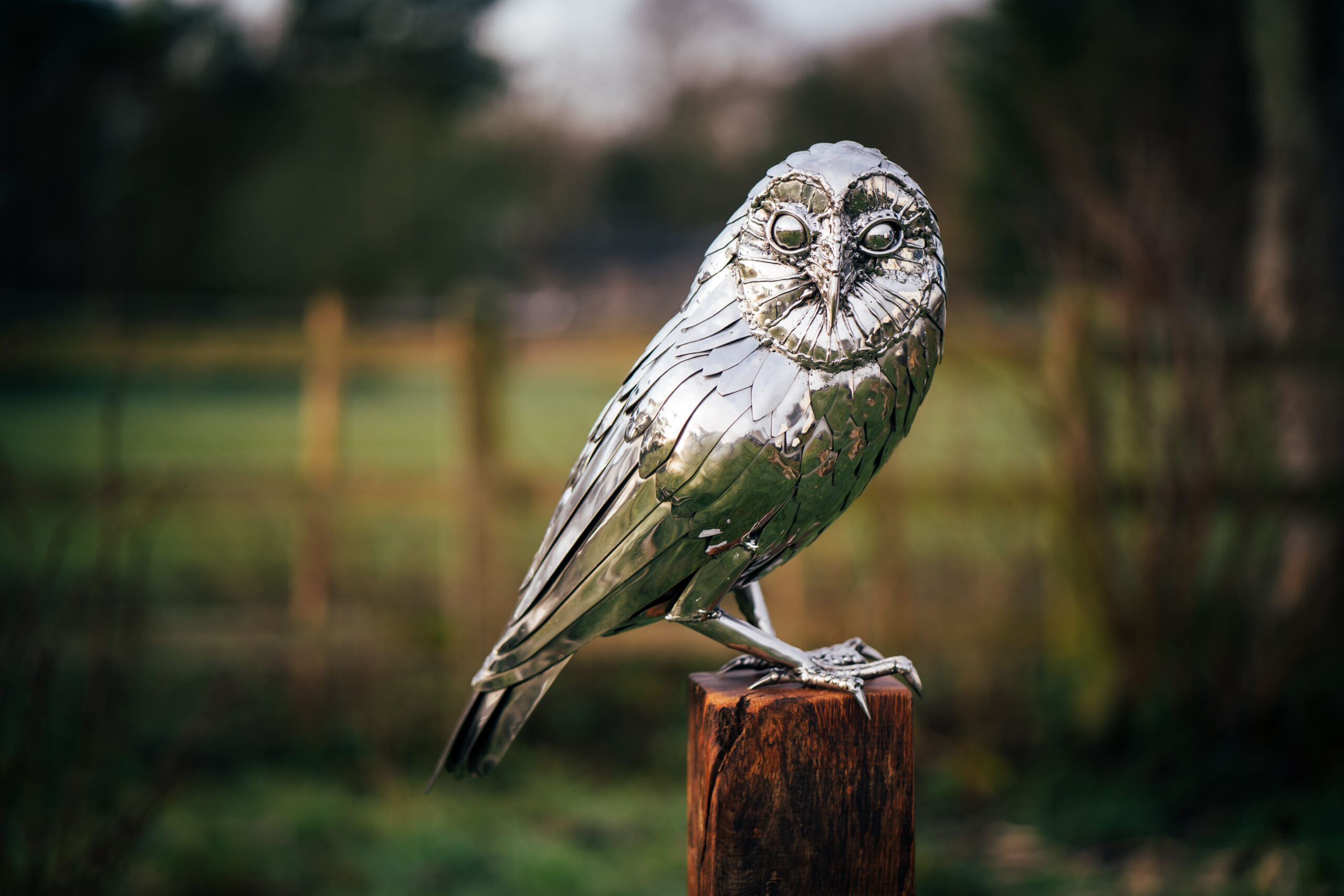 Barn Owl Sculpture by New Forest artist Michael Turner