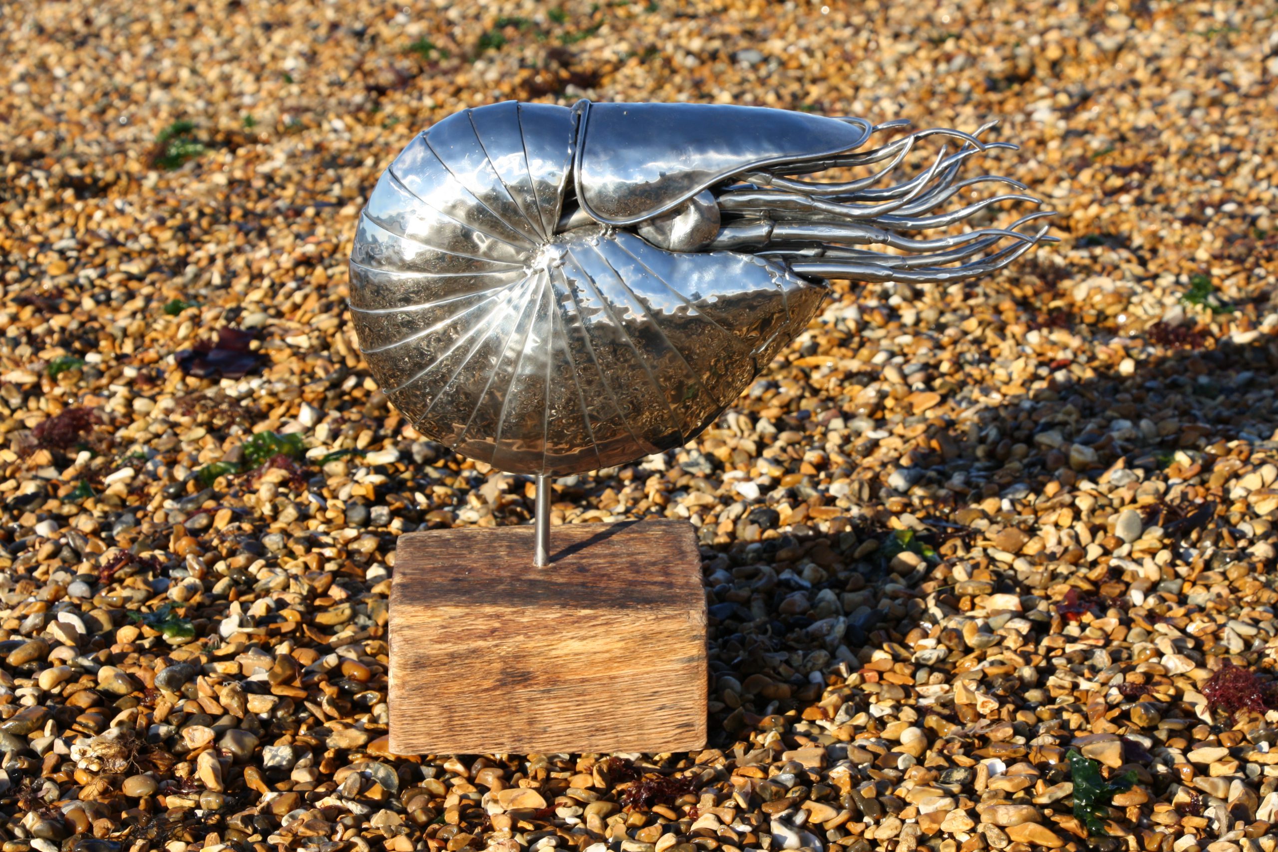Nautilus sculpture by Michael Turner Studios Stainless Steel Sculpture