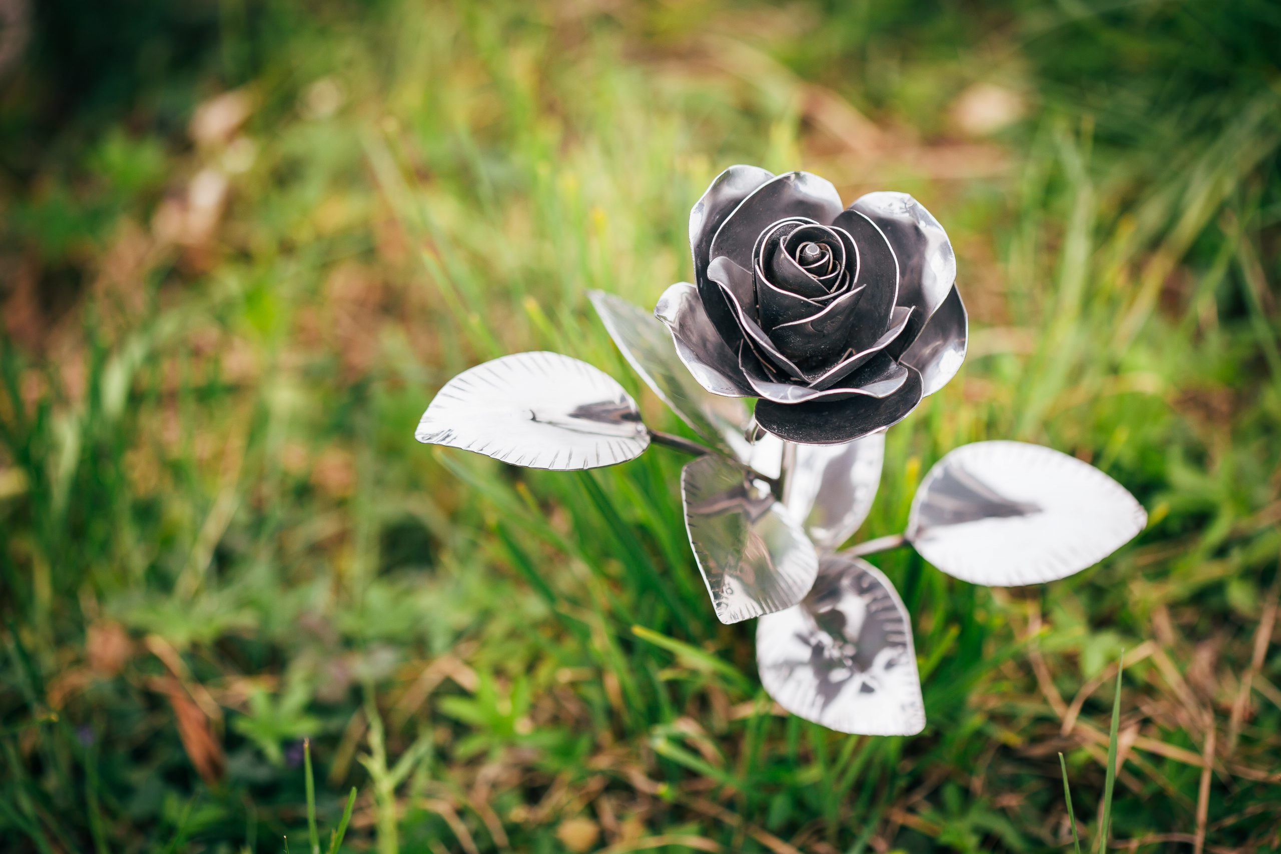 Stainless steel Rose - Michael Turner sculpture and artwork