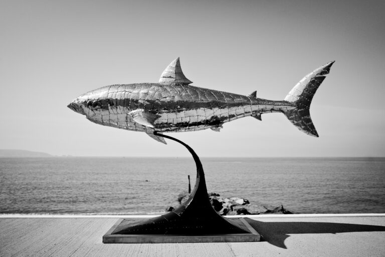 Great White Shark Garden Sculpture - Michael Turner Studios