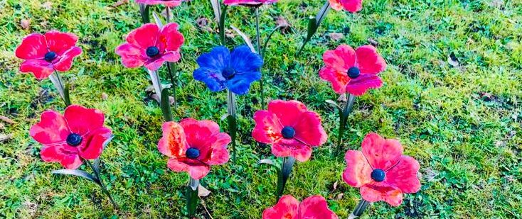 New Forest Poppy Hunt 2021 - Michael Turner Studios