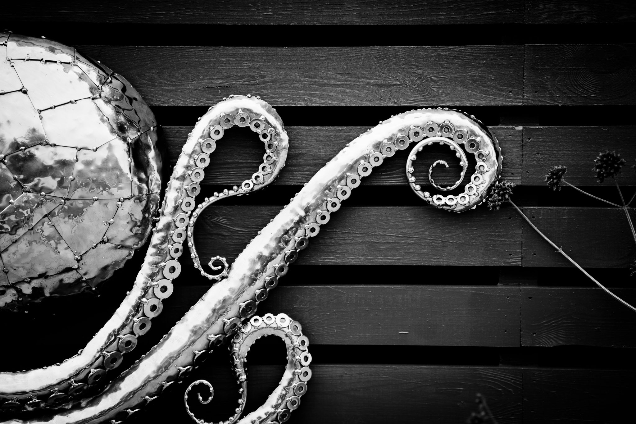 Octopus wall-mounted - Michael Turner sculpture and artwork