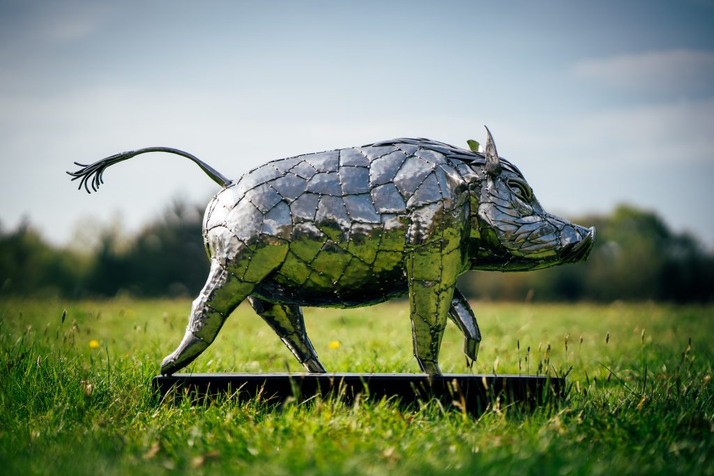 Wild Boar - Michael Turner Sculputures and Art for your home
