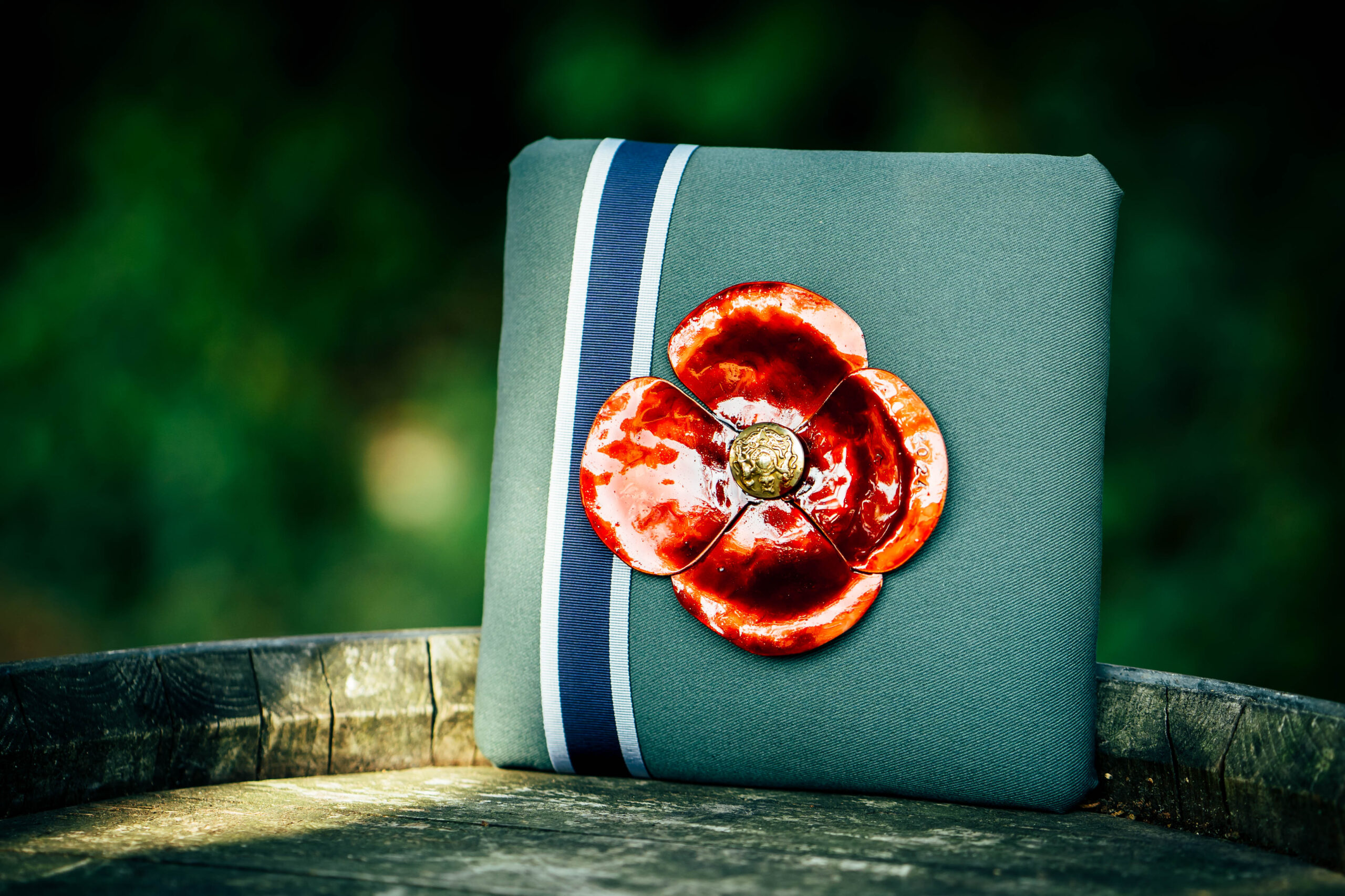 New Forest Poppy Hunt 2024 - michael turner studios